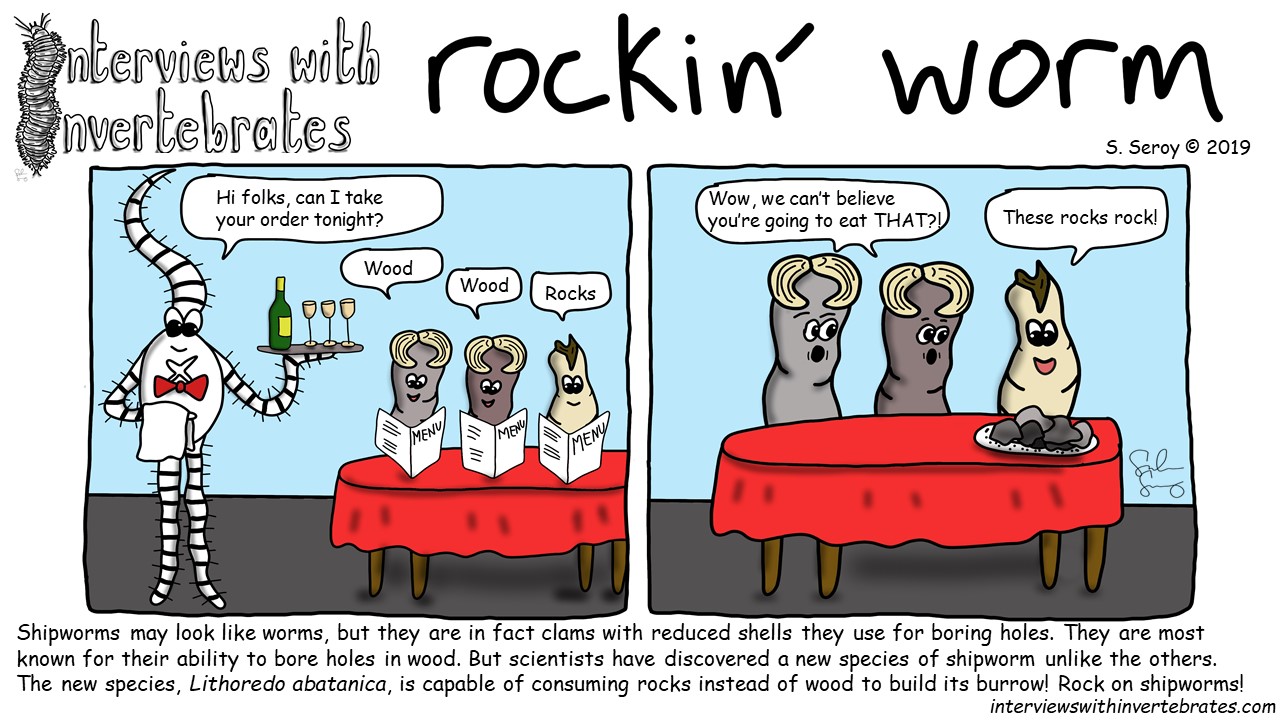 rockin’ worm | interviews with invertebrates
