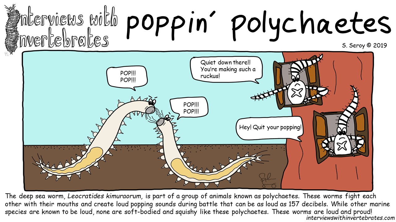 poppin’ polychaetes | interviews with invertebrates