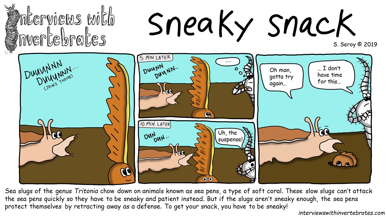 sneaky snack | interviews with invertebrates