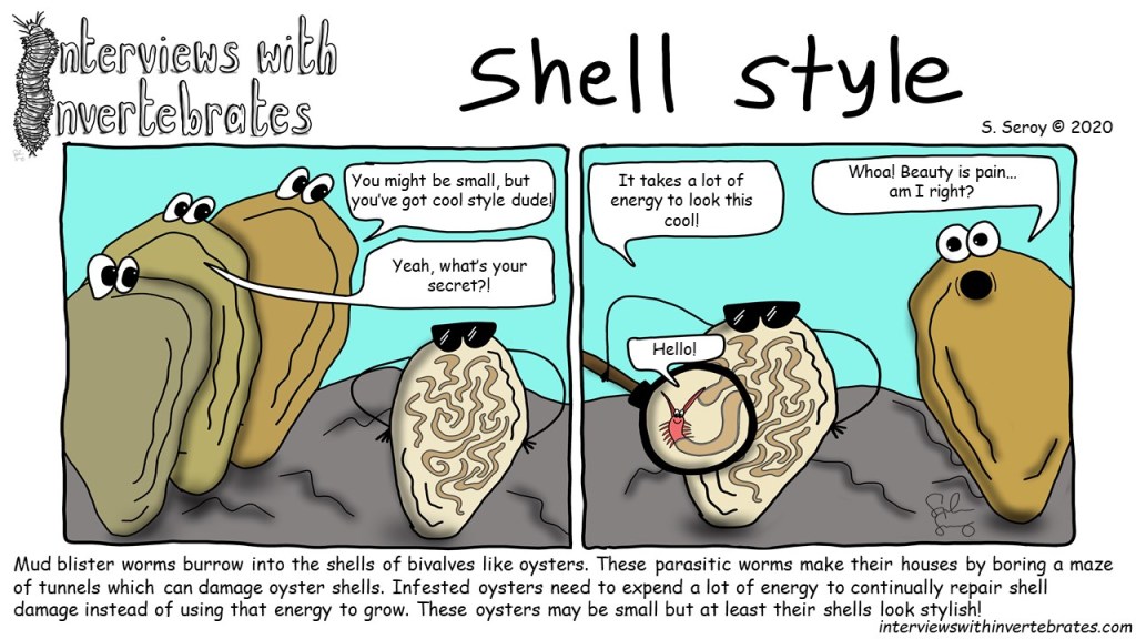 shell style | interviews with invertebrates